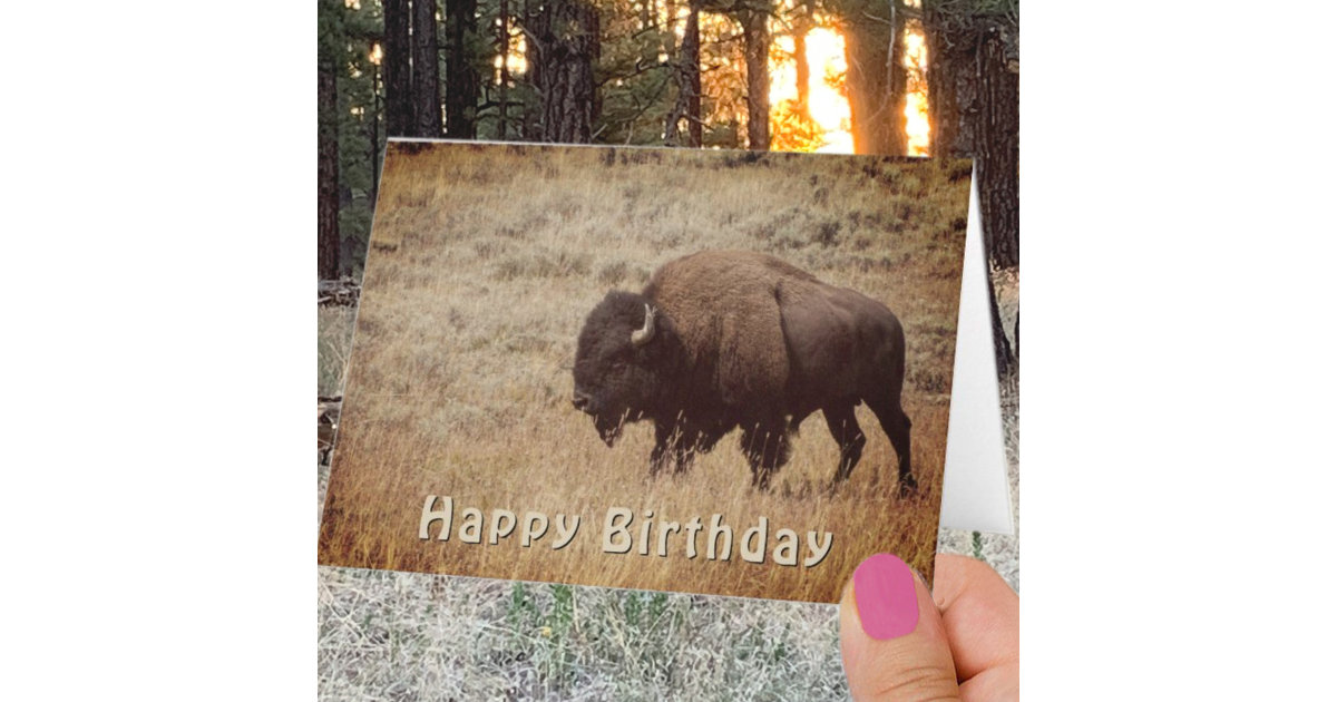 Happy Birthday Bison Photograph Template | Zazzle