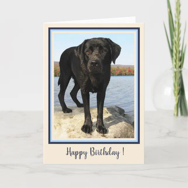 Happy Birthday Black Labrador Beach Puppy Cute Dog Thank You Card | Zazzle