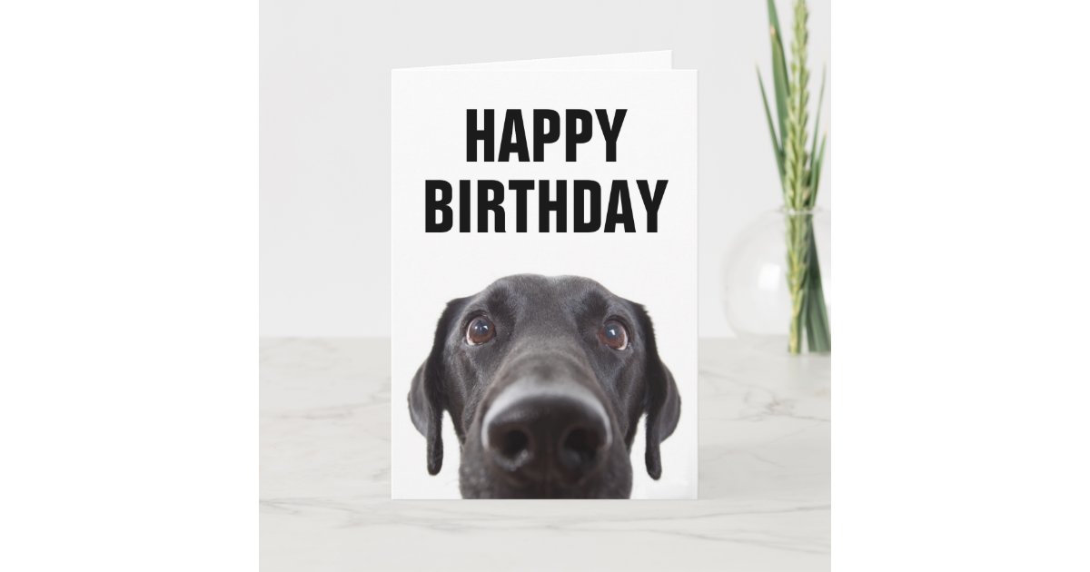 Happy Birthday | Black Labrador Card | Zazzle