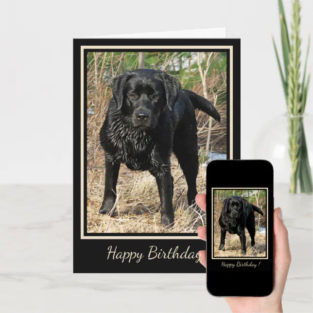 Happy Birthday Black Labrador - Duck Hunting Dog Card | Zazzle