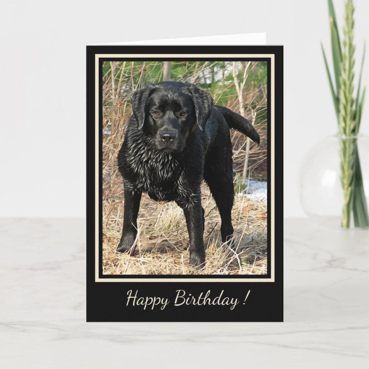 Happy Birthday Black Labrador - Duck Hunting Dog Card | Zazzle