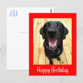 Happy Birthday Black Labrador Retriever Post Card | Zazzle