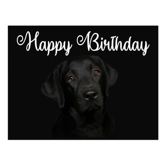Happy Birthday Black Labrador Retriever Puppy Dog Postcard | Zazzle.com