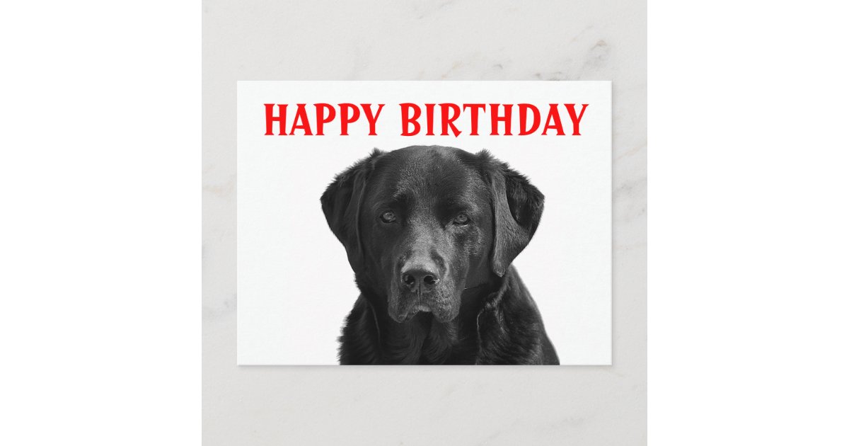 Happy Birthday Black Labrador Retriever Puppy Dog Postcard | Zazzle