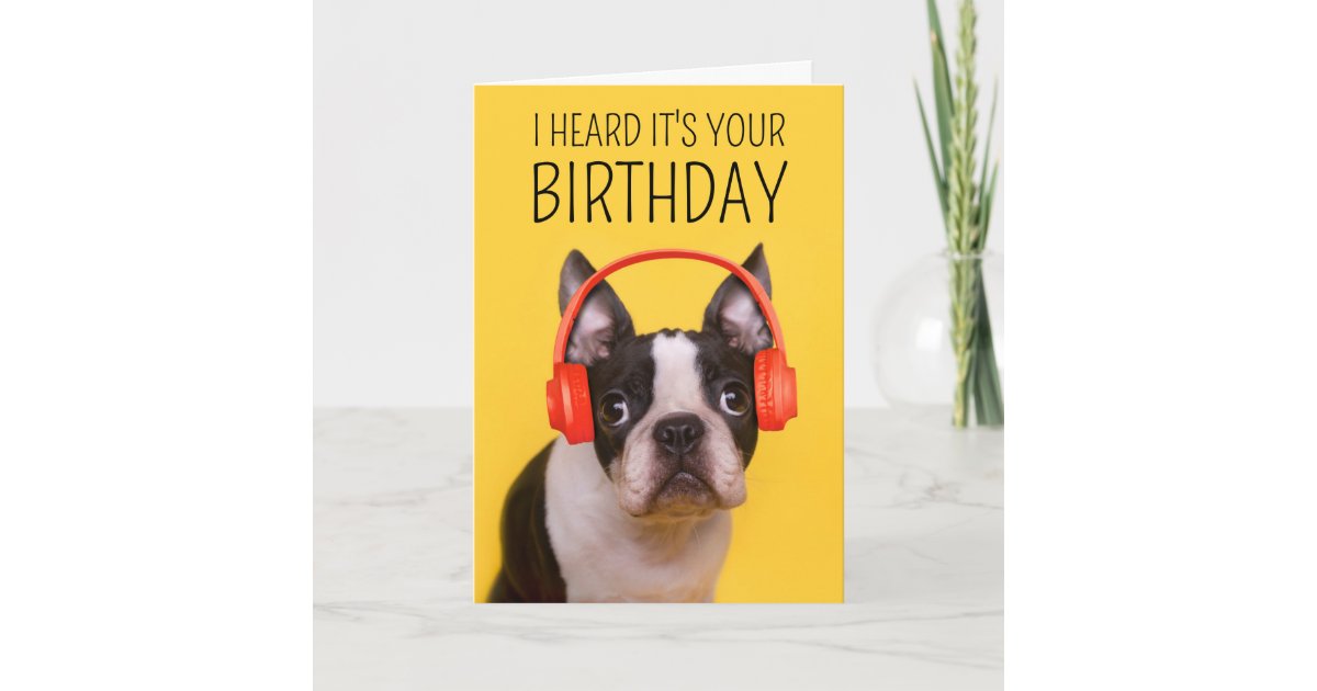 Happy Birthday | Boston Terrier Card | Zazzle