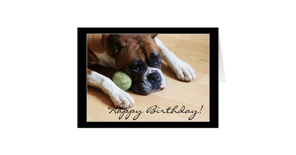 Happy Birthday Boxer Dog Greeting Card | Zazzle