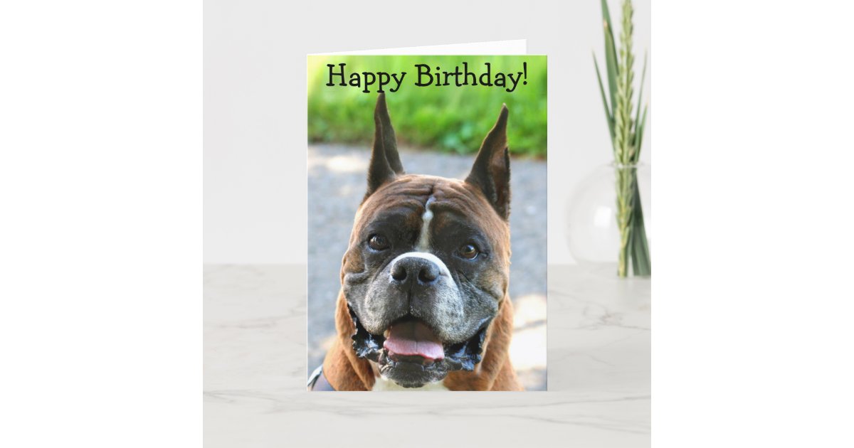 Happy Birthday Boxer greeting card | Zazzle
