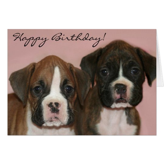 Happy Birthday Boxer Puppies greeting card | Zazzle.com