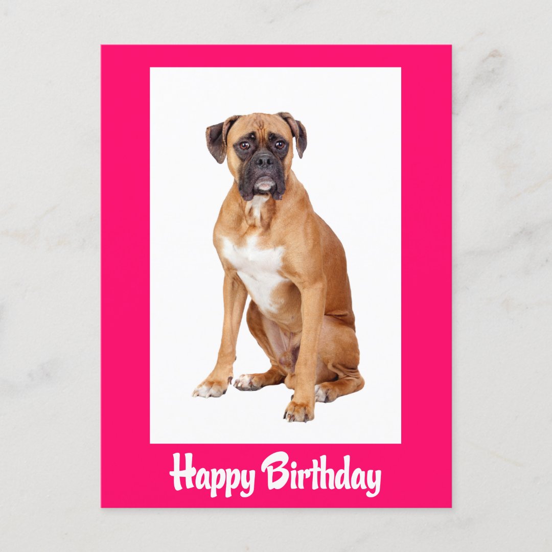 Happy Birthday Boxer Puppy Dog Postcard | Zazzle
