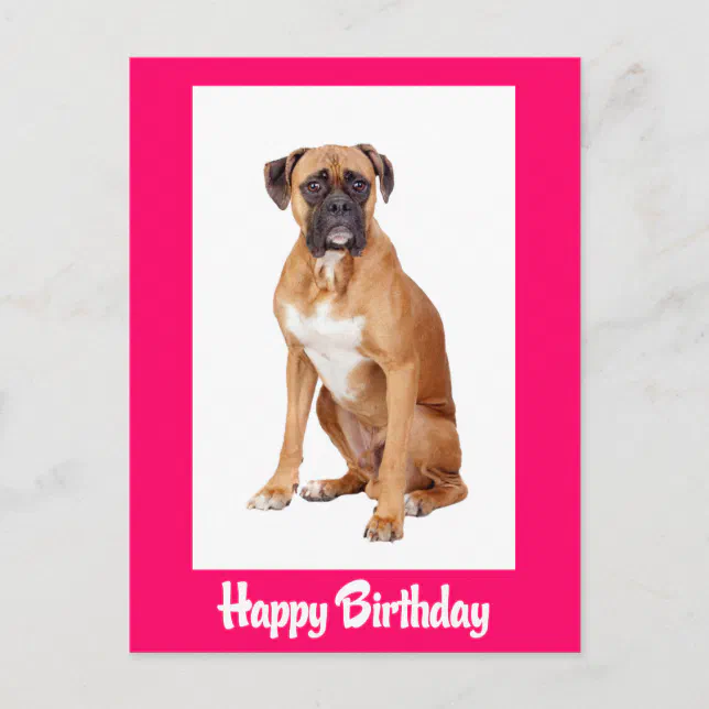 Happy Birthday Boxer Puppy Dog Postcard | Zazzle