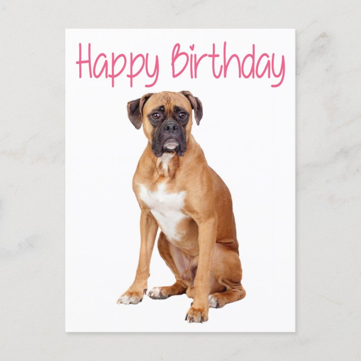 Happy Birthday Boxer Puppy Dog Postcard | Zazzle