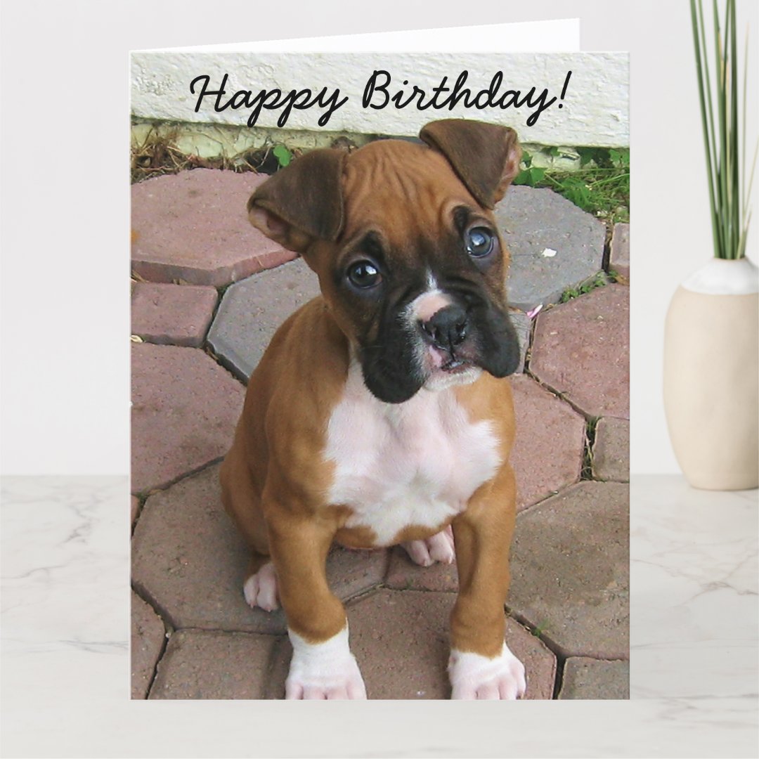 Happy Birthday Boxer puppy greeting card | Zazzle