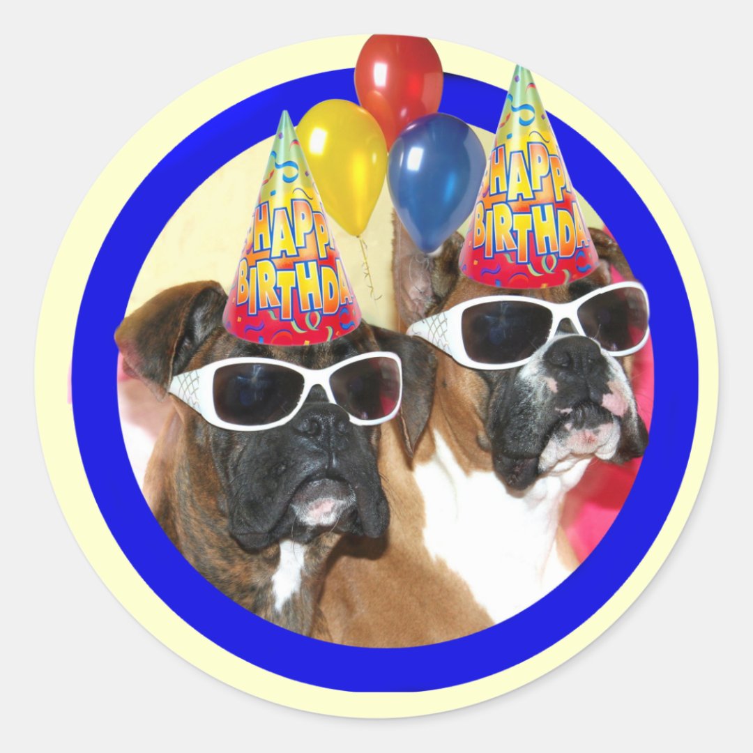 Happy Birthday Boxers stickers | Zazzle