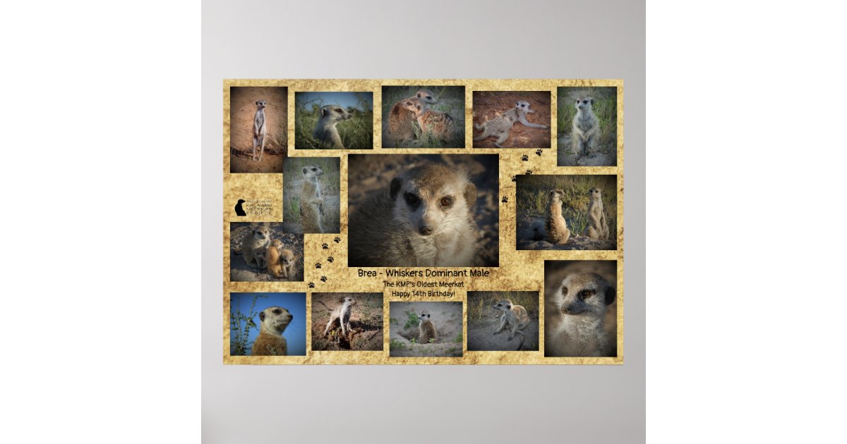 Happy Birthday Brea Poster | Zazzle