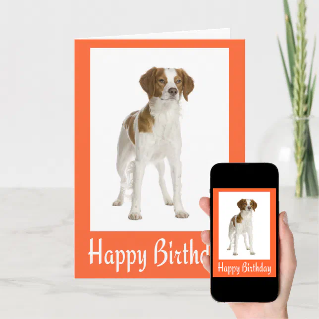 Happy Birthday Brittany Spaniel Puppy Dog Card | Zazzle