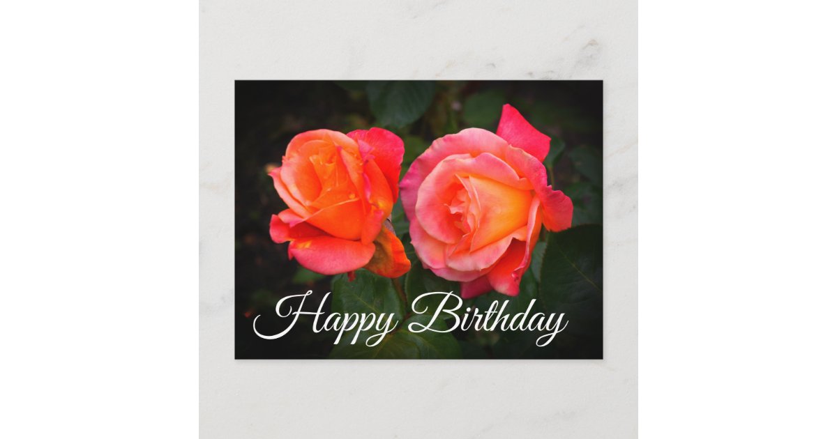Happy Birthday Broadway Rose #1 Postcard | Zazzle