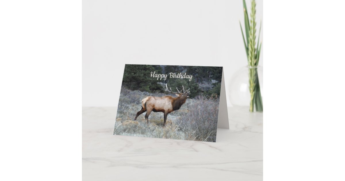 Happy Birthday, Bull Elk Bugling Card | Zazzle