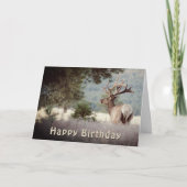 Happy Birthday Bull Elk Photograph Template | Zazzle
