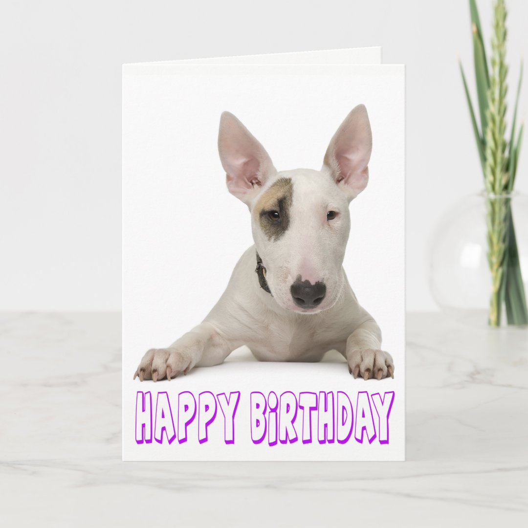 Happy Birthday Bull Terrier Puppy Dog Card | Zazzle