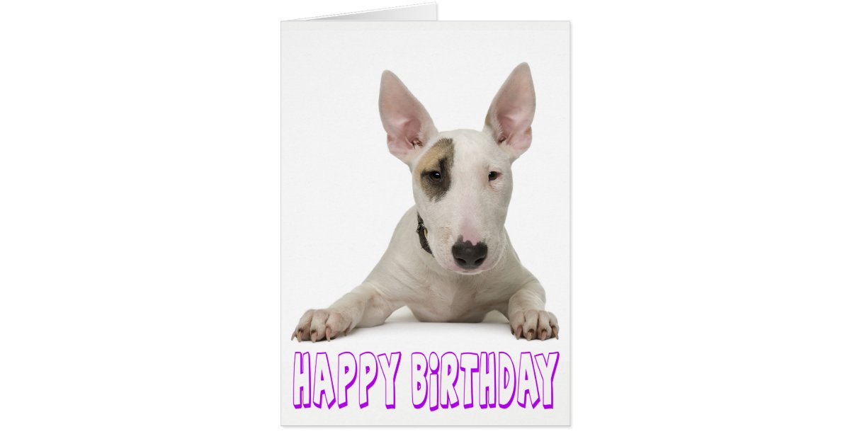 Happy Birthday Bull Terrier Puppy Dog Card | Zazzle.com
