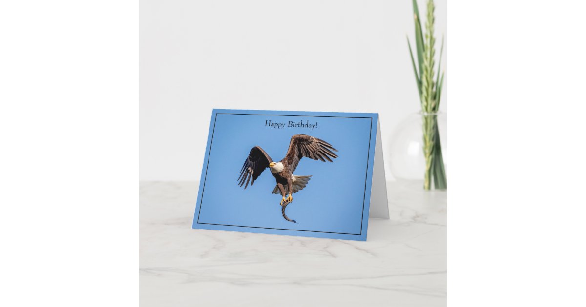 Happy Birthday Card Bald Eagle | Zazzle