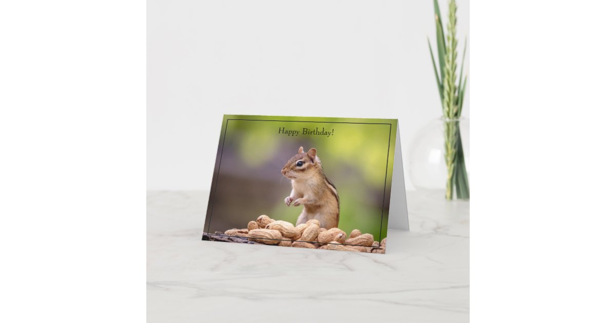 Happy Birthday Card Chipmunk | Zazzle