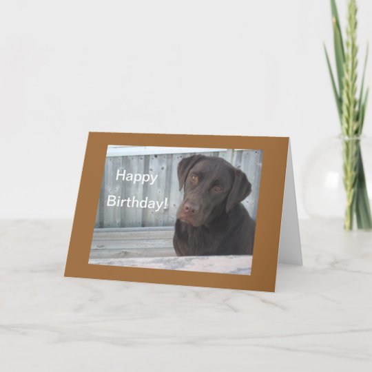 Happy Birthday Card - Chocolate Lab | Zazzle.com