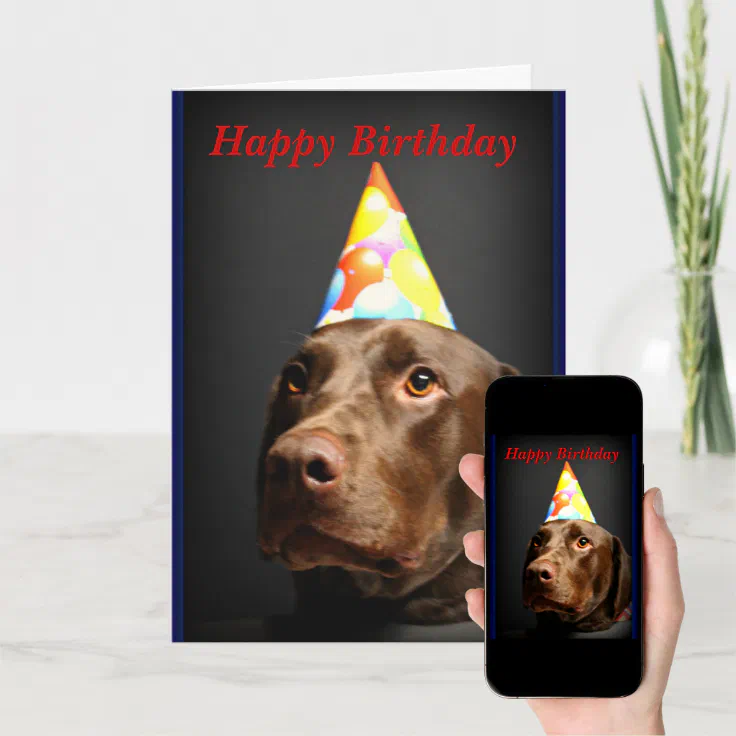 Happy Birthday card~Chocolate Lab Card | Zazzle