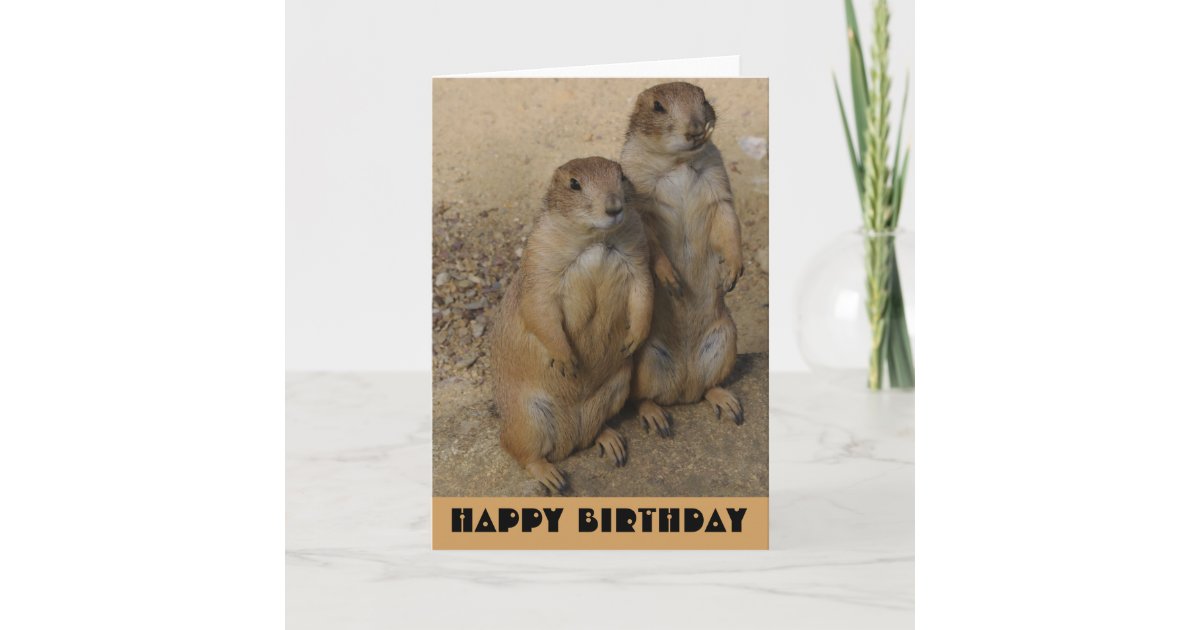 Happy Birthday card Prairie Dog | Zazzle