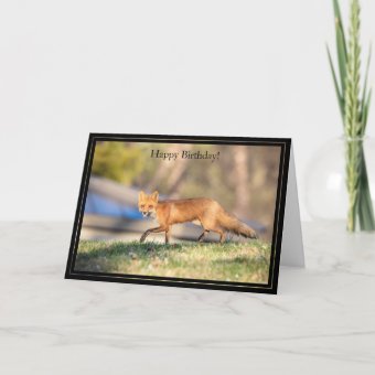 Happy Birthday Card Red Fox | Zazzle
