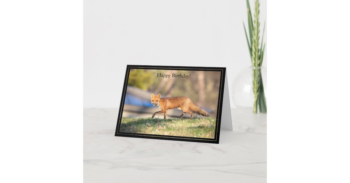 Happy Birthday Card Red Fox | Zazzle