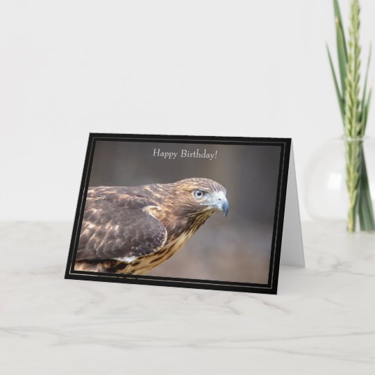 Happy Birthday Card Red-Tailed Hawk | Zazzle.com