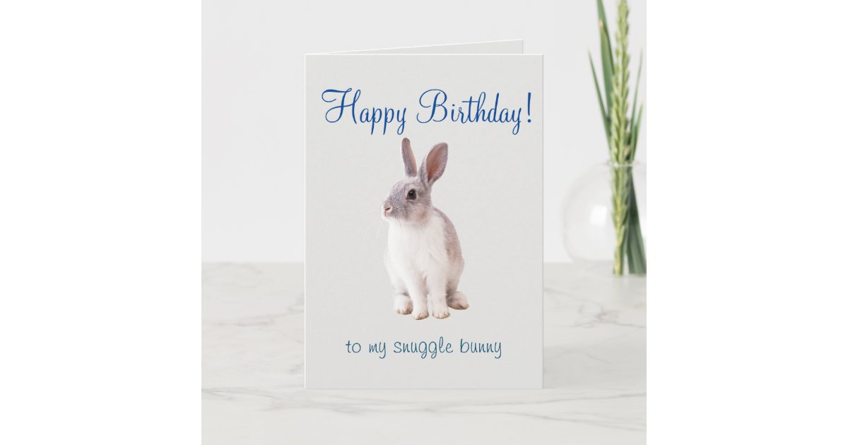 Happy Birthday Card Snuggle Bunny | Zazzle