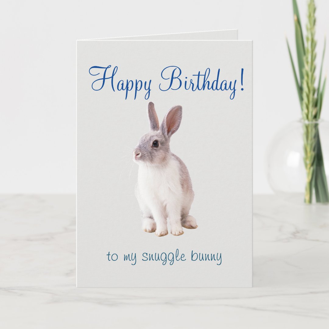 Happy Birthday Card Snuggle Bunny | Zazzle