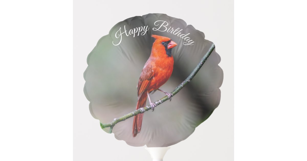 Happy Birthday Cardinal Balloon | Zazzle