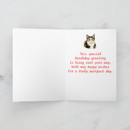 Happy Birthday Cat Friends Card | Zazzle