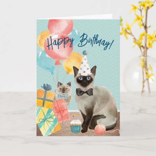 Happy Birthday Cat Lover | Funny Editable Text Card | Zazzle