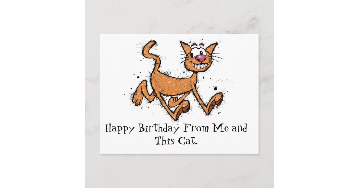 Happy Birthday Cat Postcard | Zazzle