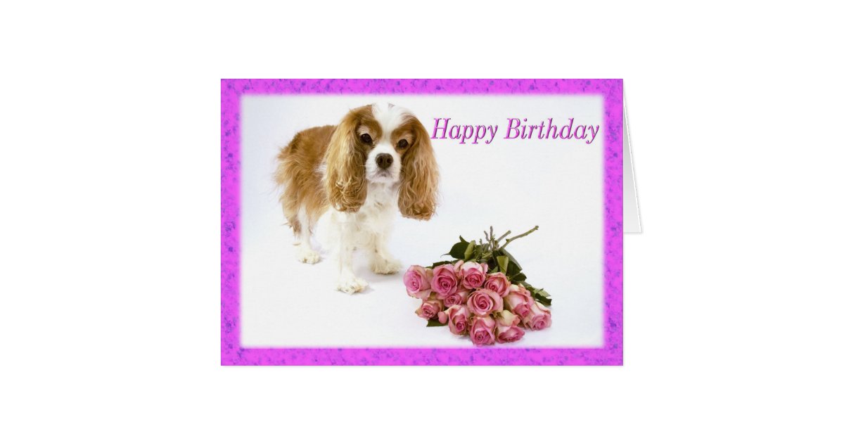 Happy Birthday Cavalier King Charles Spaniel Card | Zazzle.com