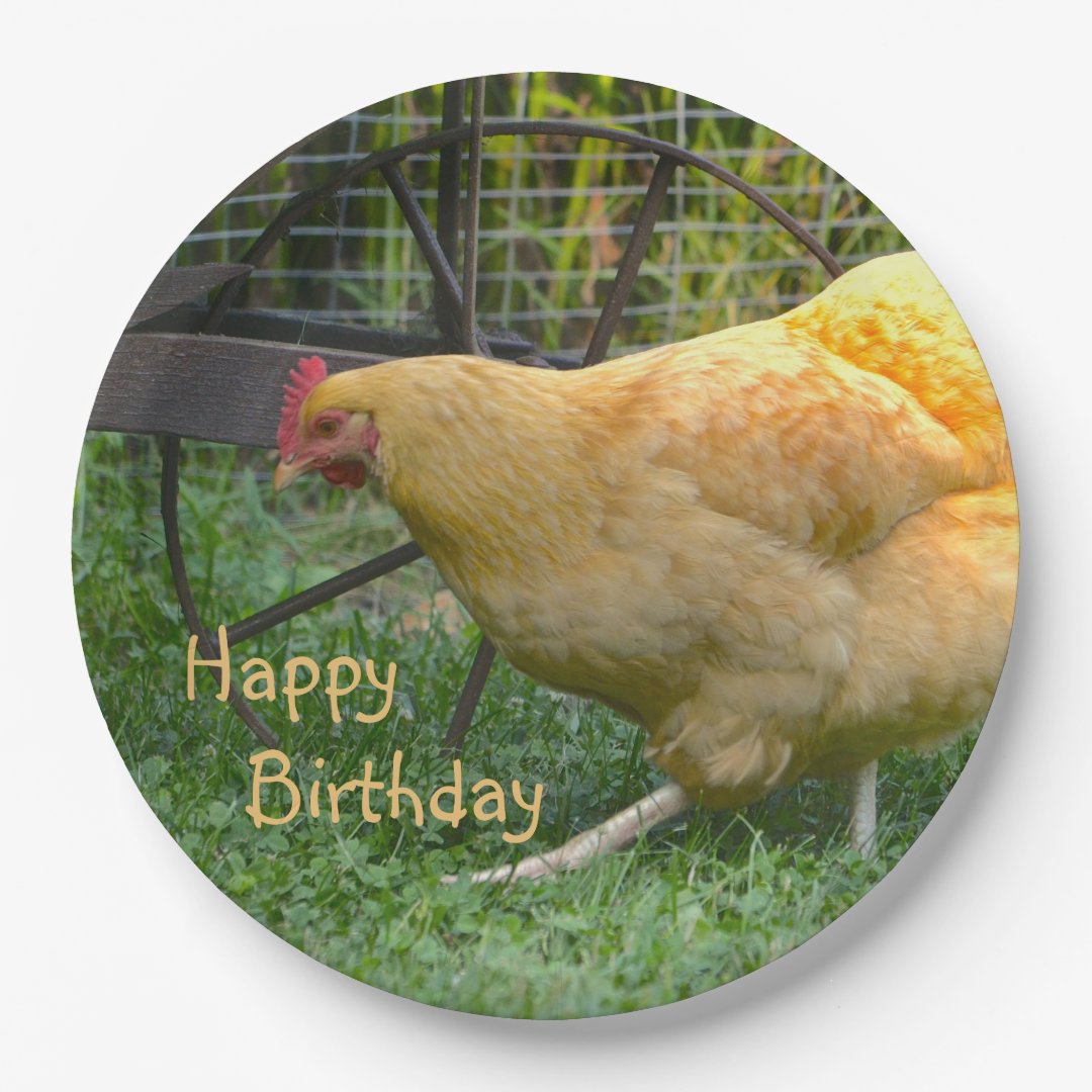 Happy Birthday Chicken Paper Plate | Zazzle