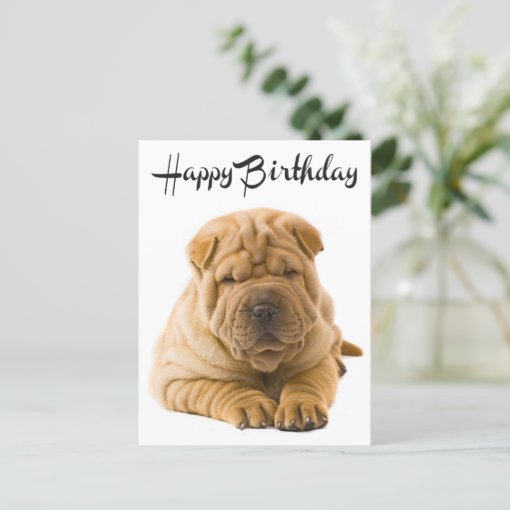 Happy Birthday Chinese Shar Pei Puppy Dog Card | Zazzle