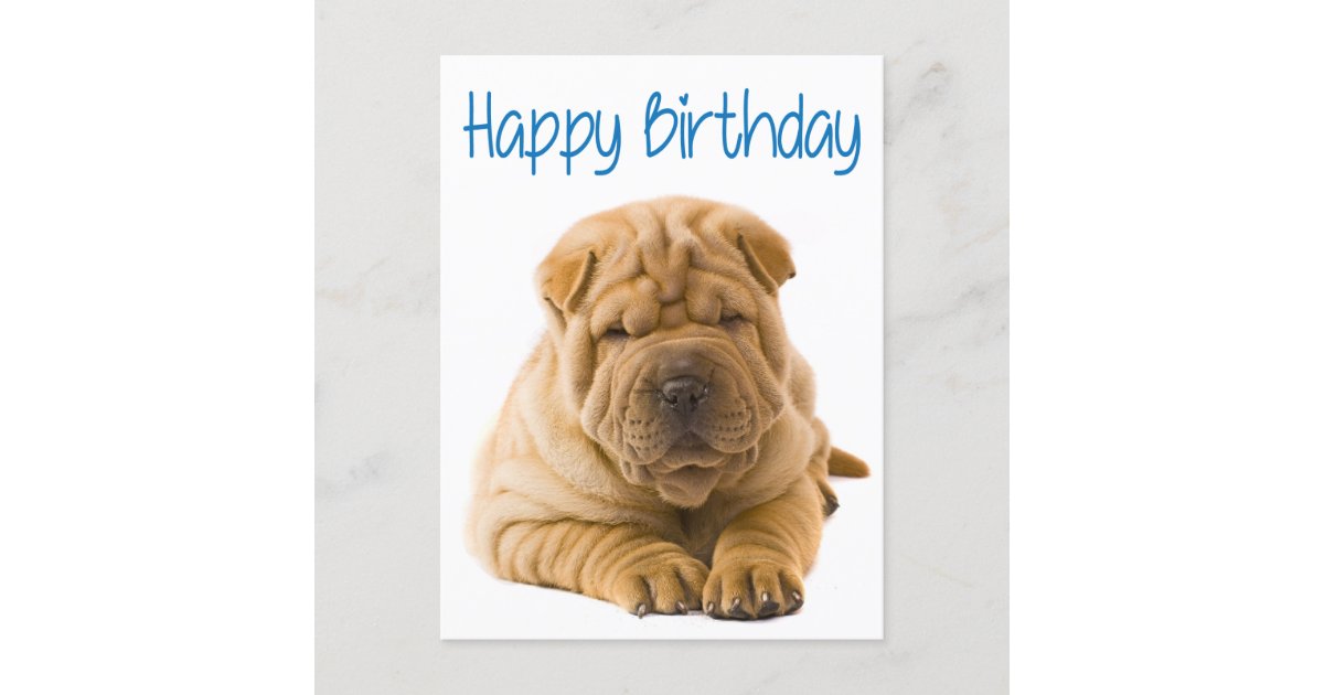Happy Birthday Chinese Shar Pei Puppy Dog Card | Zazzle