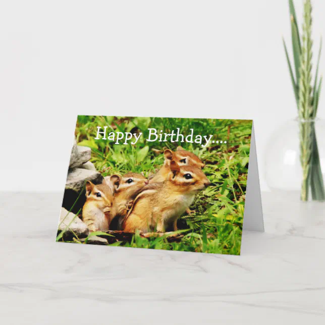 Happy Birthday Chipmunks Group Card | Zazzle