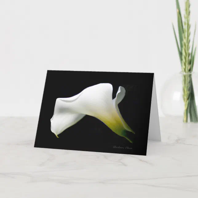 Happy Birthday Classy Lady* Card | Zazzle