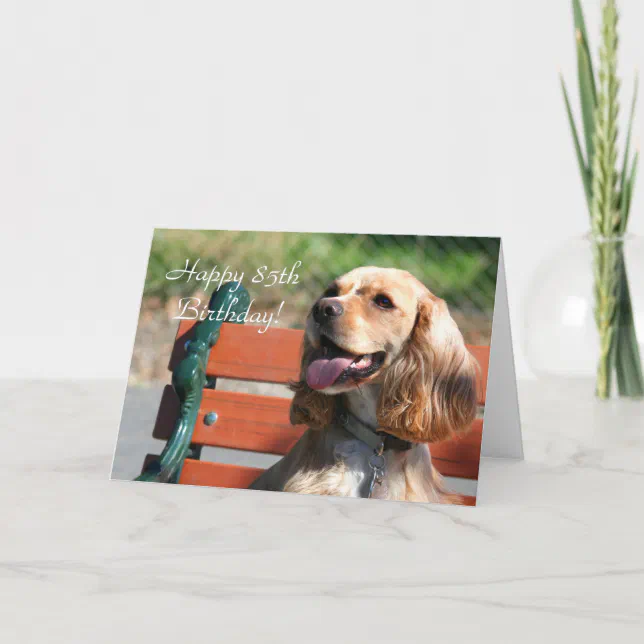 Happy Birthday Cocker Spaniel Greeting Card | Zazzle