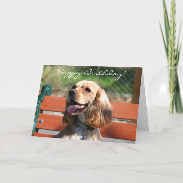 Happy Birthday Cocker Spaniel greeting card | Zazzle