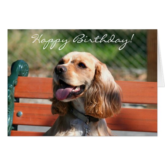 Happy Birthday Cocker Spaniel greeting card | Zazzle.com