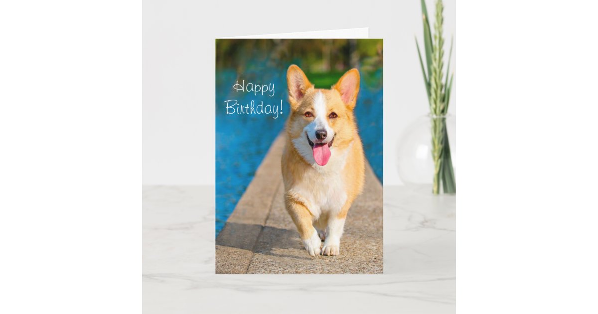 Happy Birthday Corgi Dog Card | Zazzle