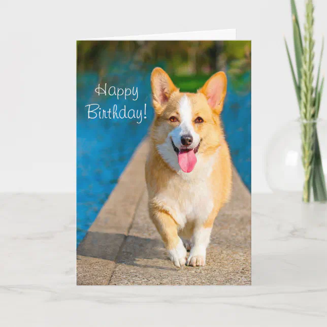 Happy Birthday Corgi Dog Card | Zazzle