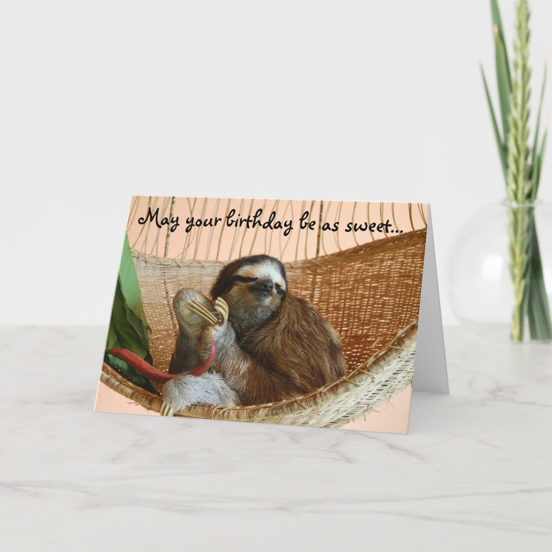 Happy Birthday Cute Sloth Card | Zazzle